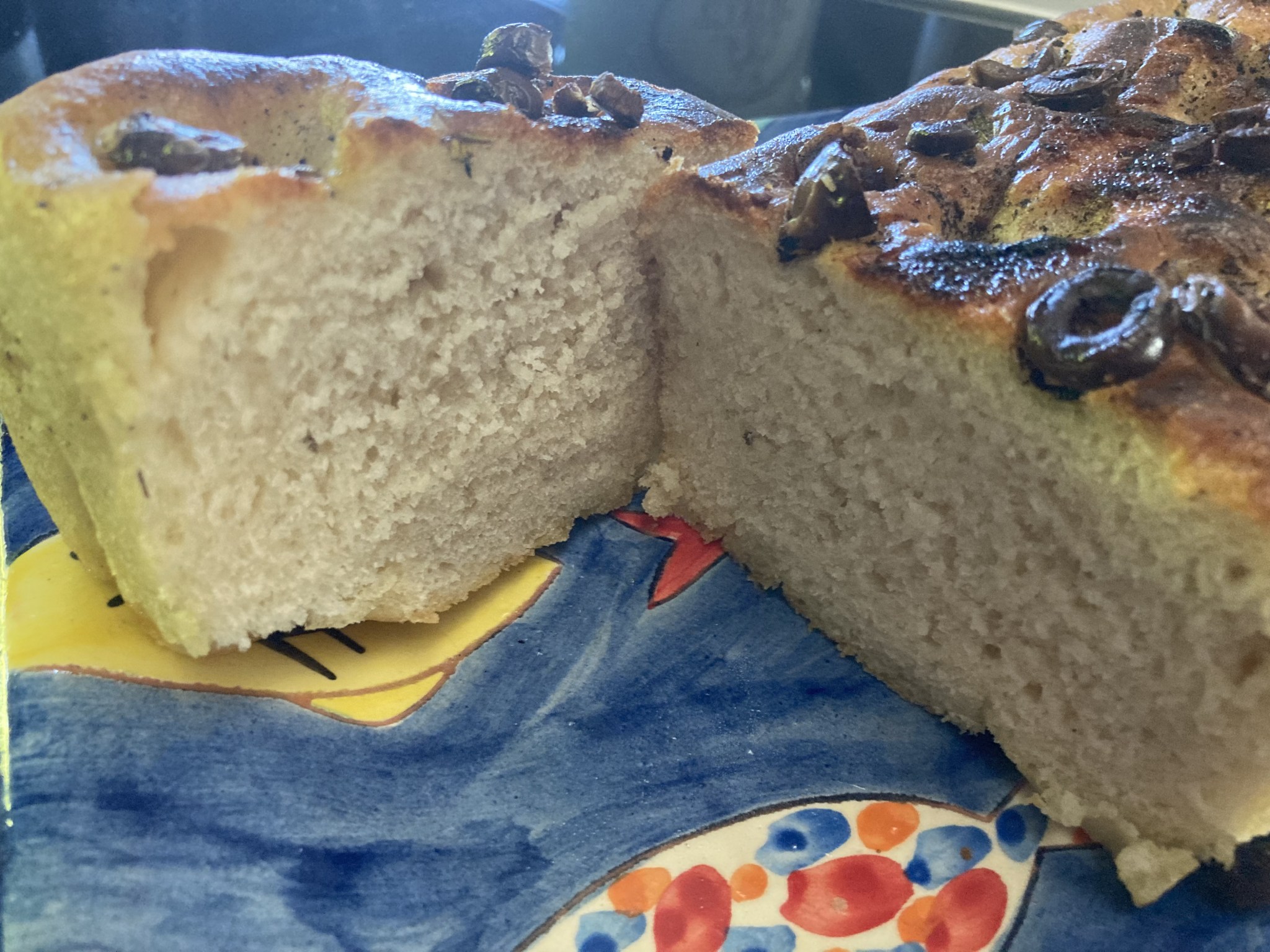 The Great Toaster Oven Experiment: Focaccia | olderfatterhappierdotcom